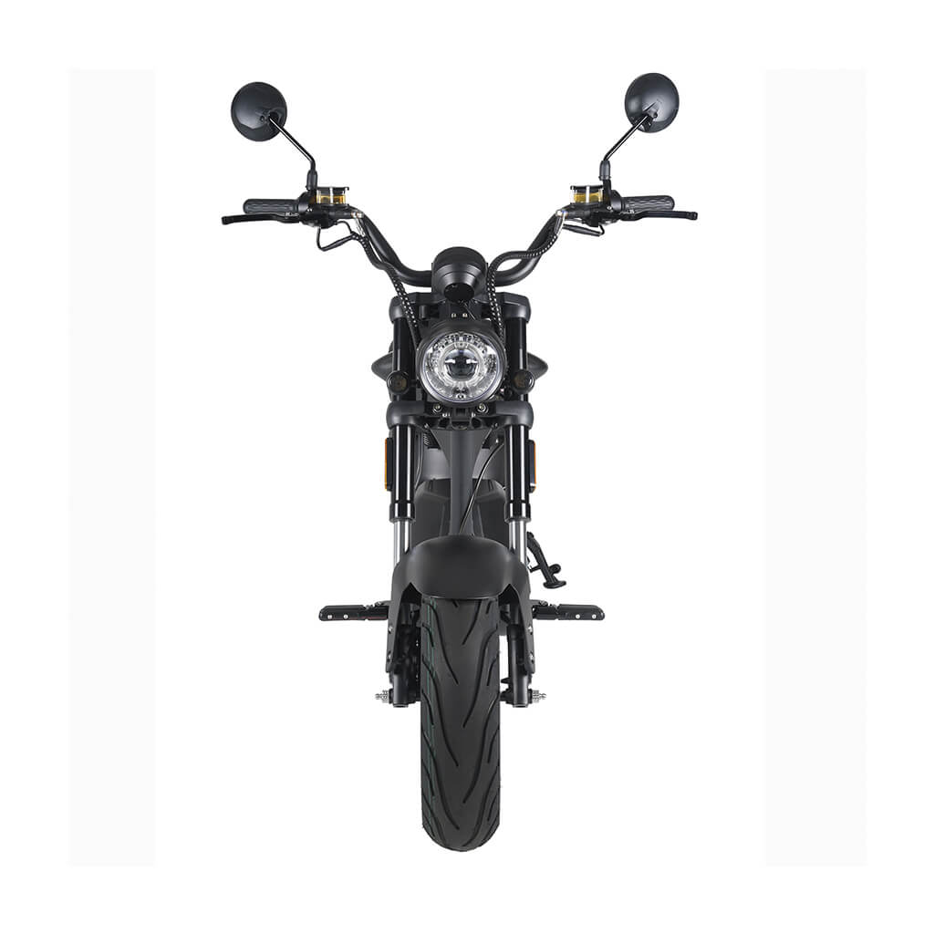 Mangosteen M1PS 2000W (ou 4000W) - mobitronik.pt